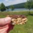The Best Recovery Bar for Runners - Kokoro Nutrition